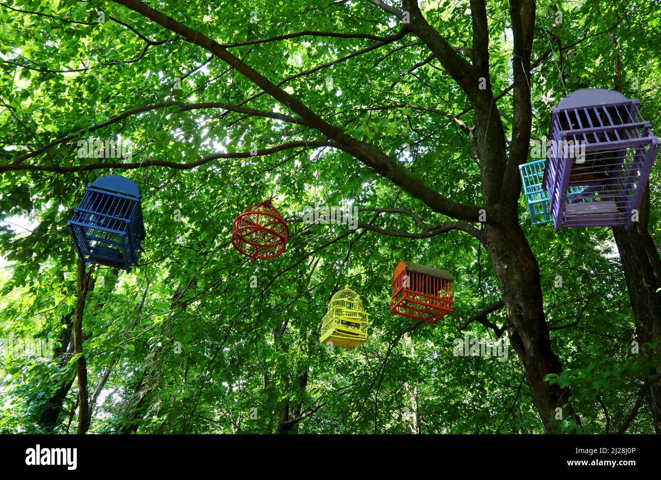 coloured cages for birds in the forest Stock Photo - Alamy