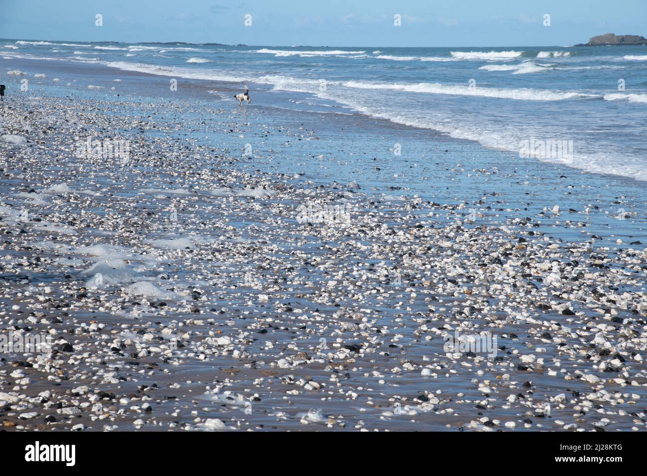 White pebbles beach hi-res stock photography and images - Alamy
