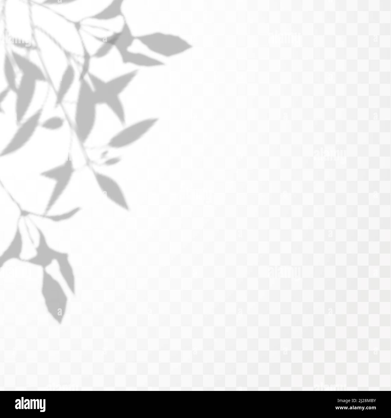 Transparent Effects Layouts My New 5th [paid Extension] Reveal Effect