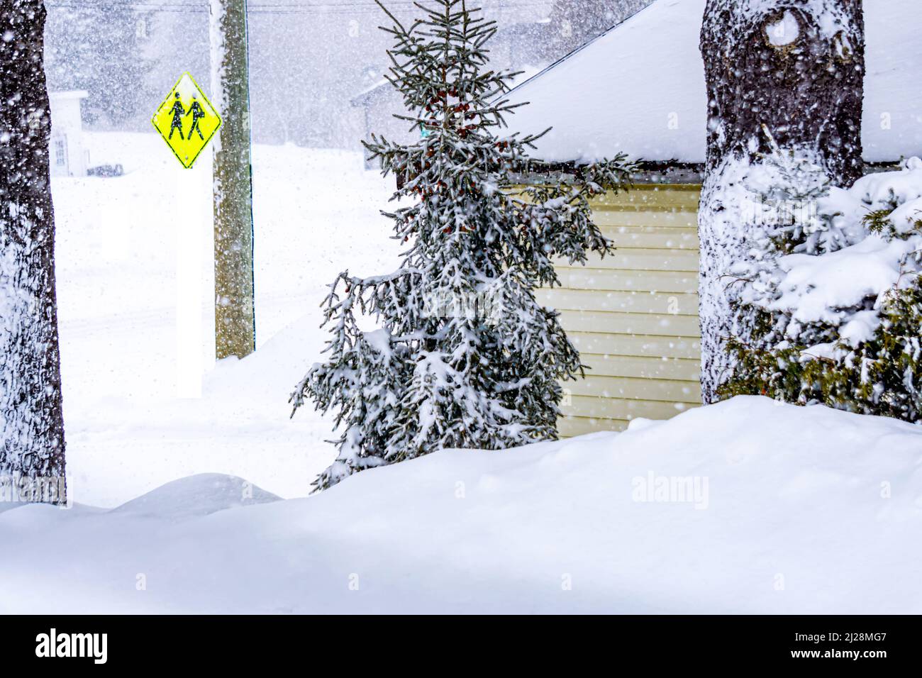 Blizzard conditions and heavy snowfall during a winter storm in Quebec ...