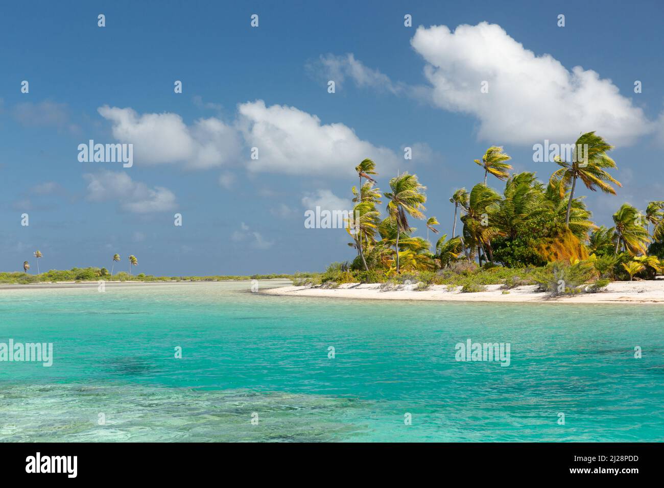 palm lined atolls in Tuamotu archipelago Stock Photo - Alamy