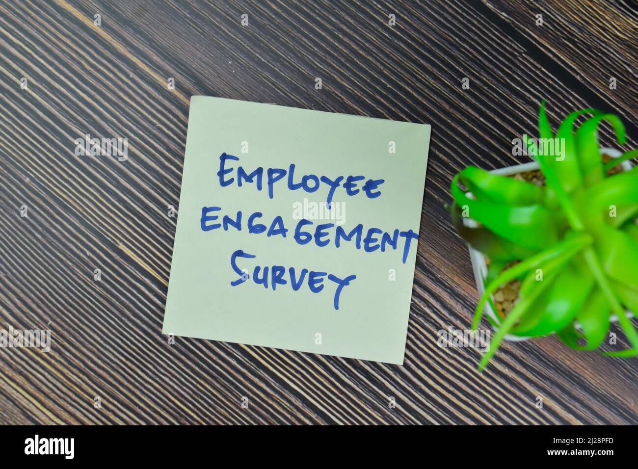 Employee Engagement Survey write on sticky notes isolated on Wooden ...