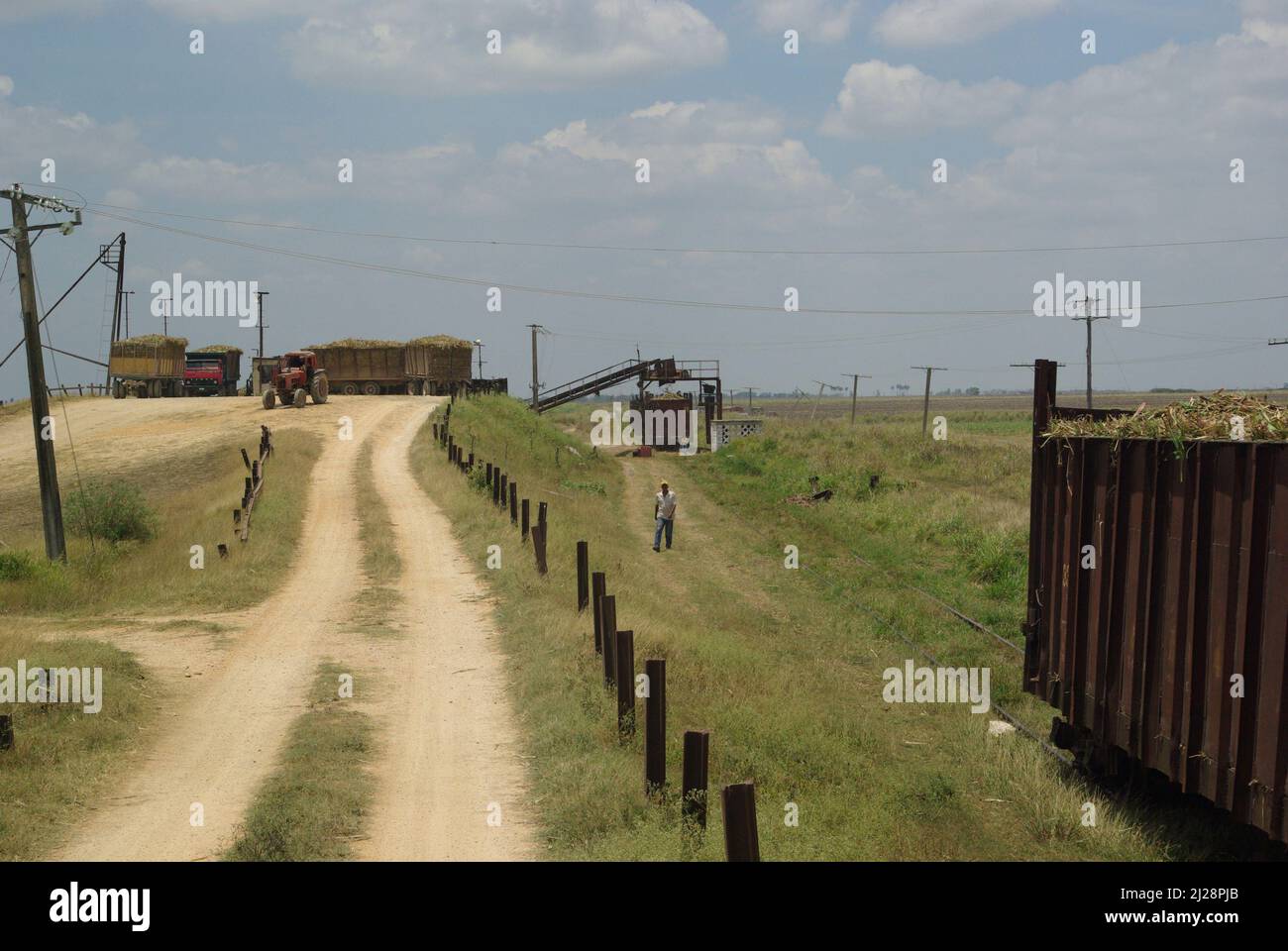 Sugarcane transport hi-res stock photography and images - Alamy