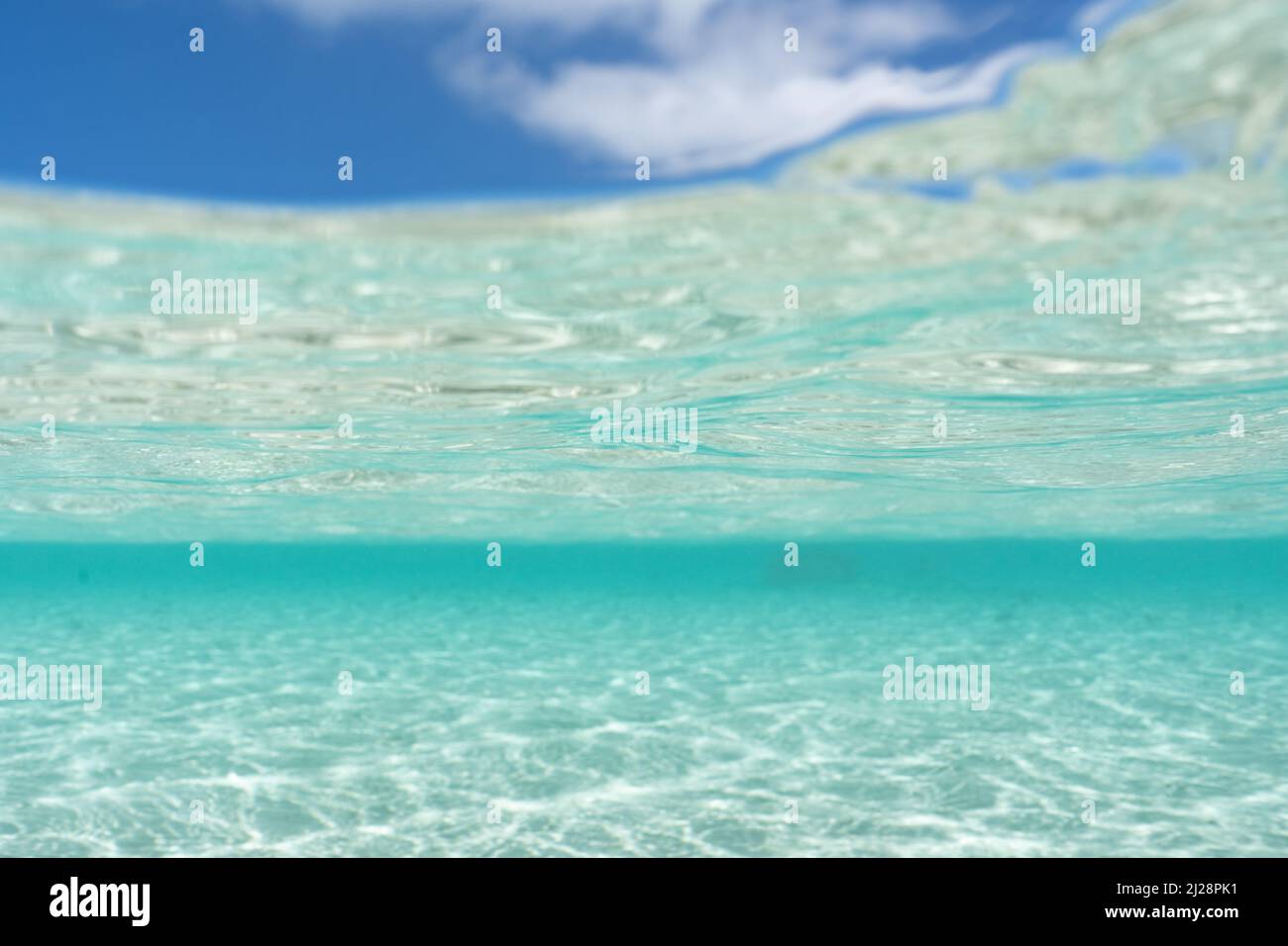 Over and Under the Crystal Clear water of French Polynesia Stock Photo ...