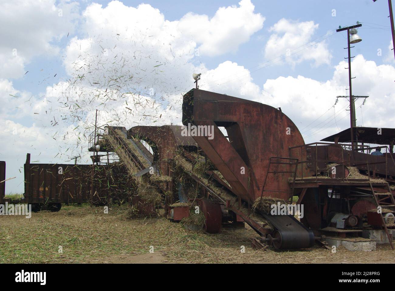 Loading truck with sugar cane hi-res stock photography and images - Alamy