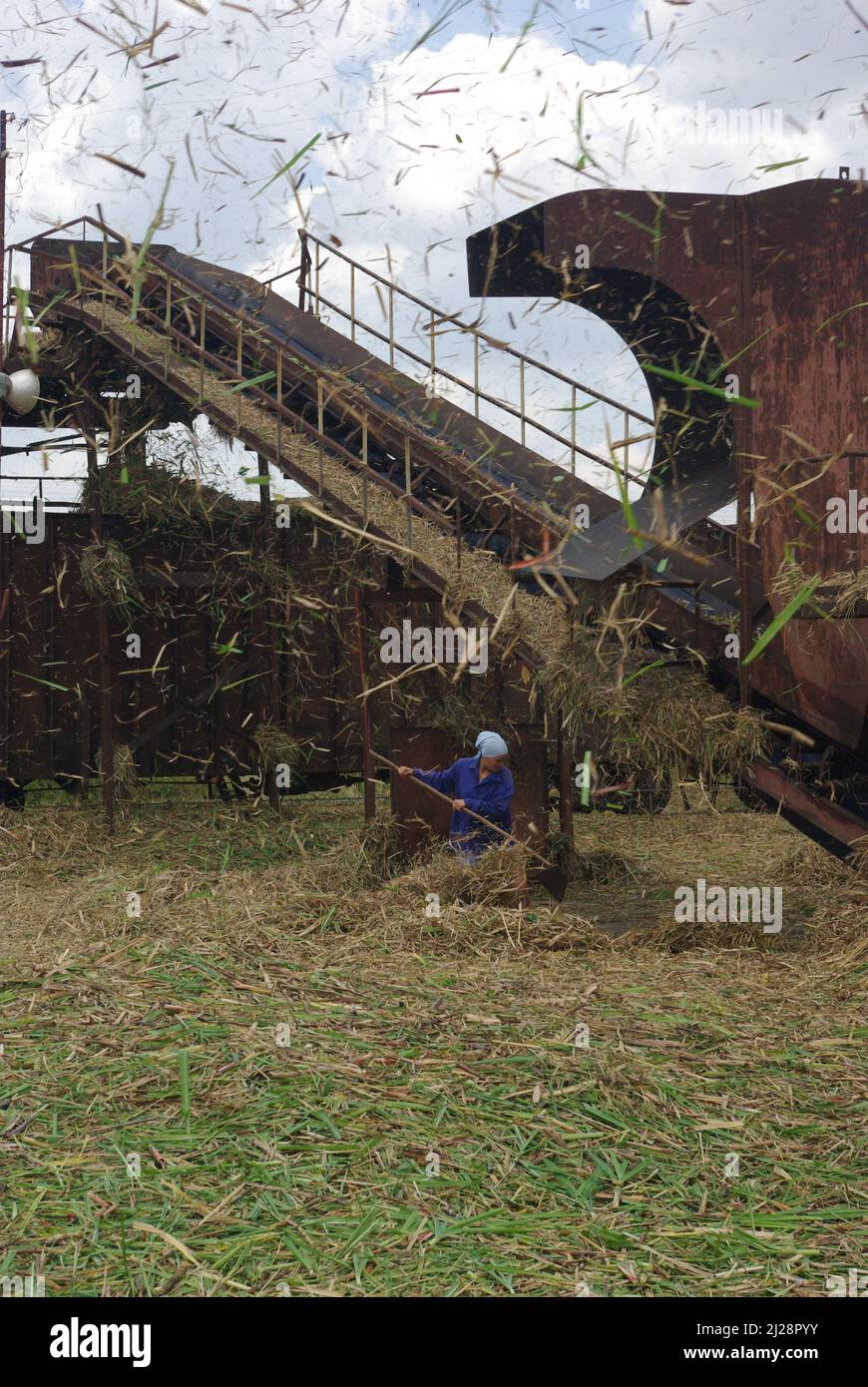 Sugar cane wagons hi-res stock photography and images - Alamy