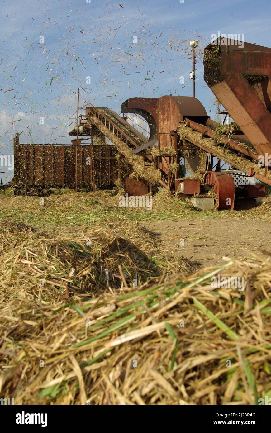 Loading sugar cane into train carriages at Chambas, Cuba. 2010 Stock ...