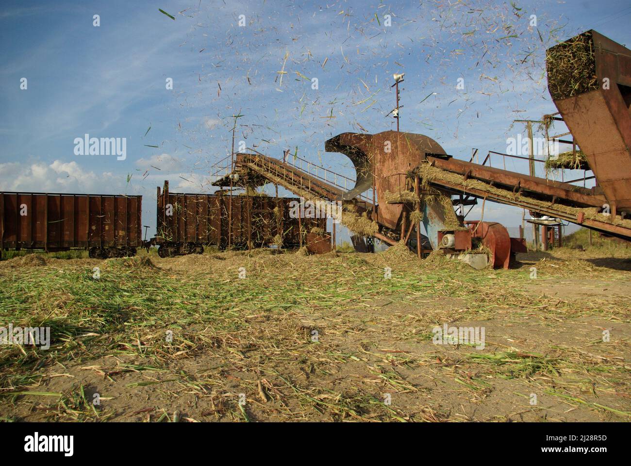 Loading sugar cane into train carriages at Chambas, Cuba. 2010 Stock ...