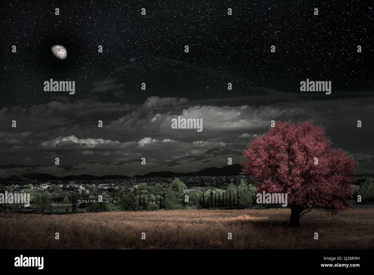 Infrared multi colored landscape with the moon and stars above the ...
