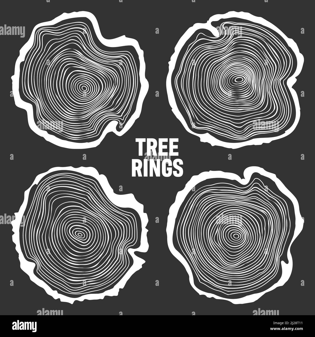 White round tree trunk cuts, sawn pine or oak slices, lumber. Saw cut ...