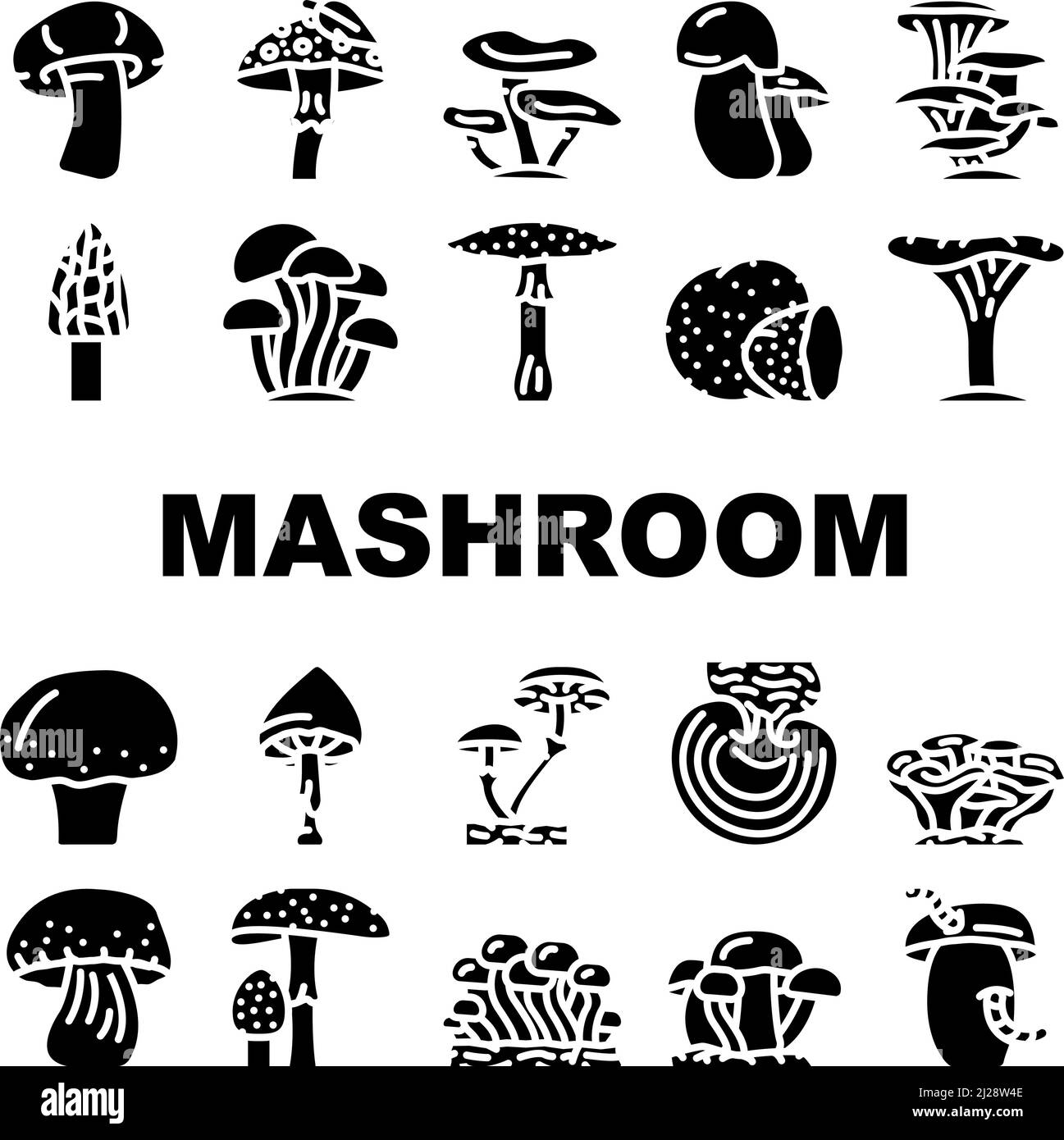 Black morel forest picking Stock Vector Images - Alamy