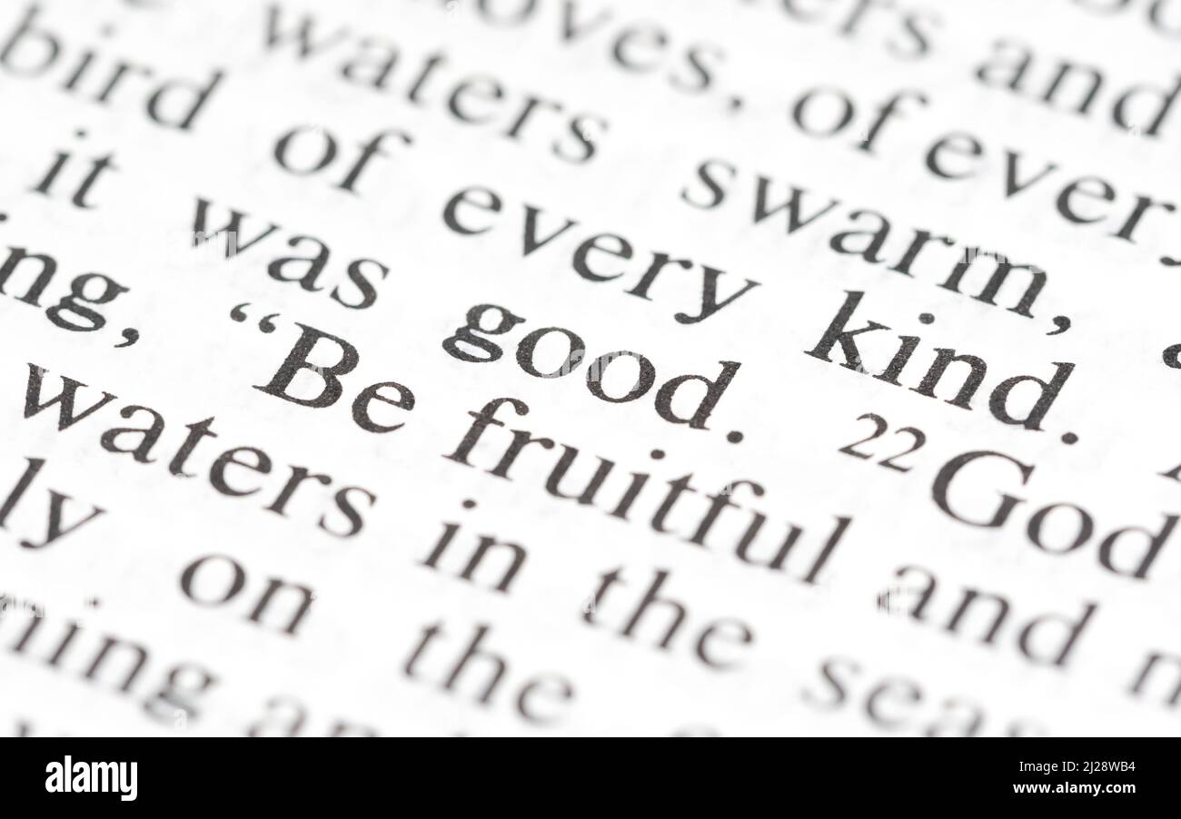 Word good highlighted in the bible text line object detail, macro ...