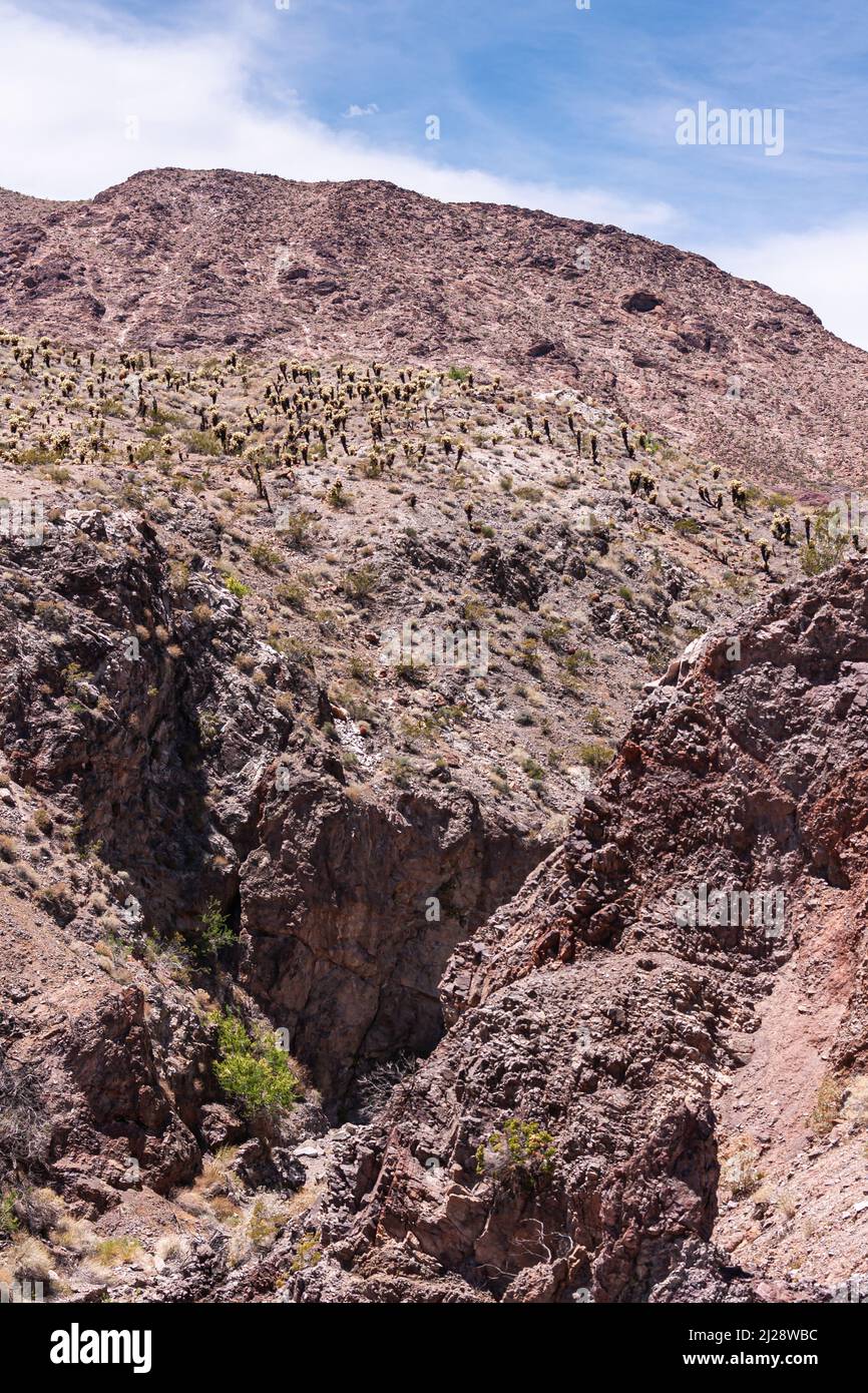 Fighting terrain hi-res stock photography and images - Alamy