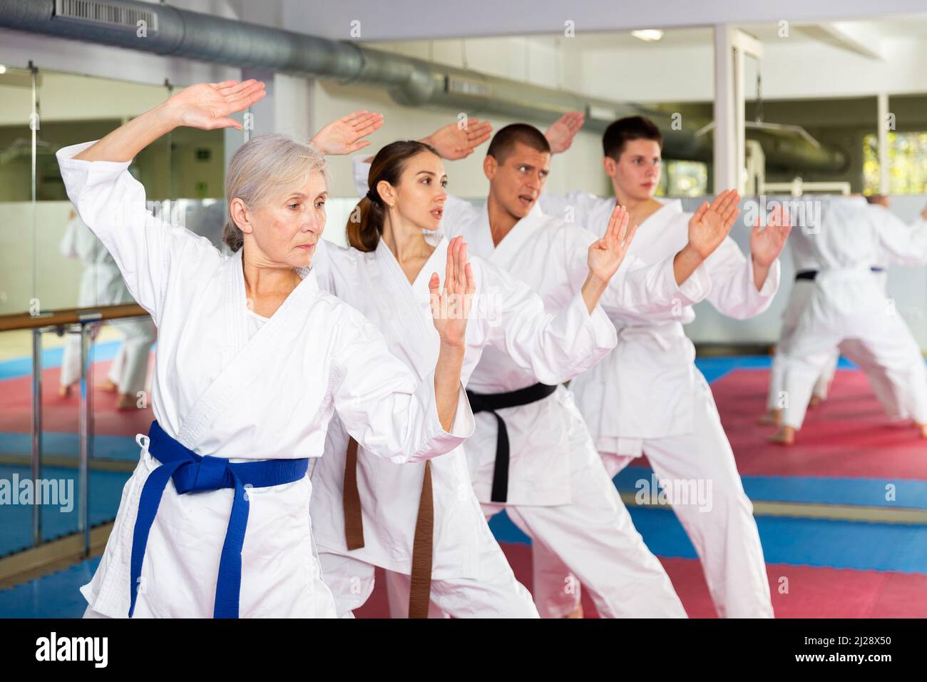 Women and men doing kata during karate training Stock Photo - Alamy