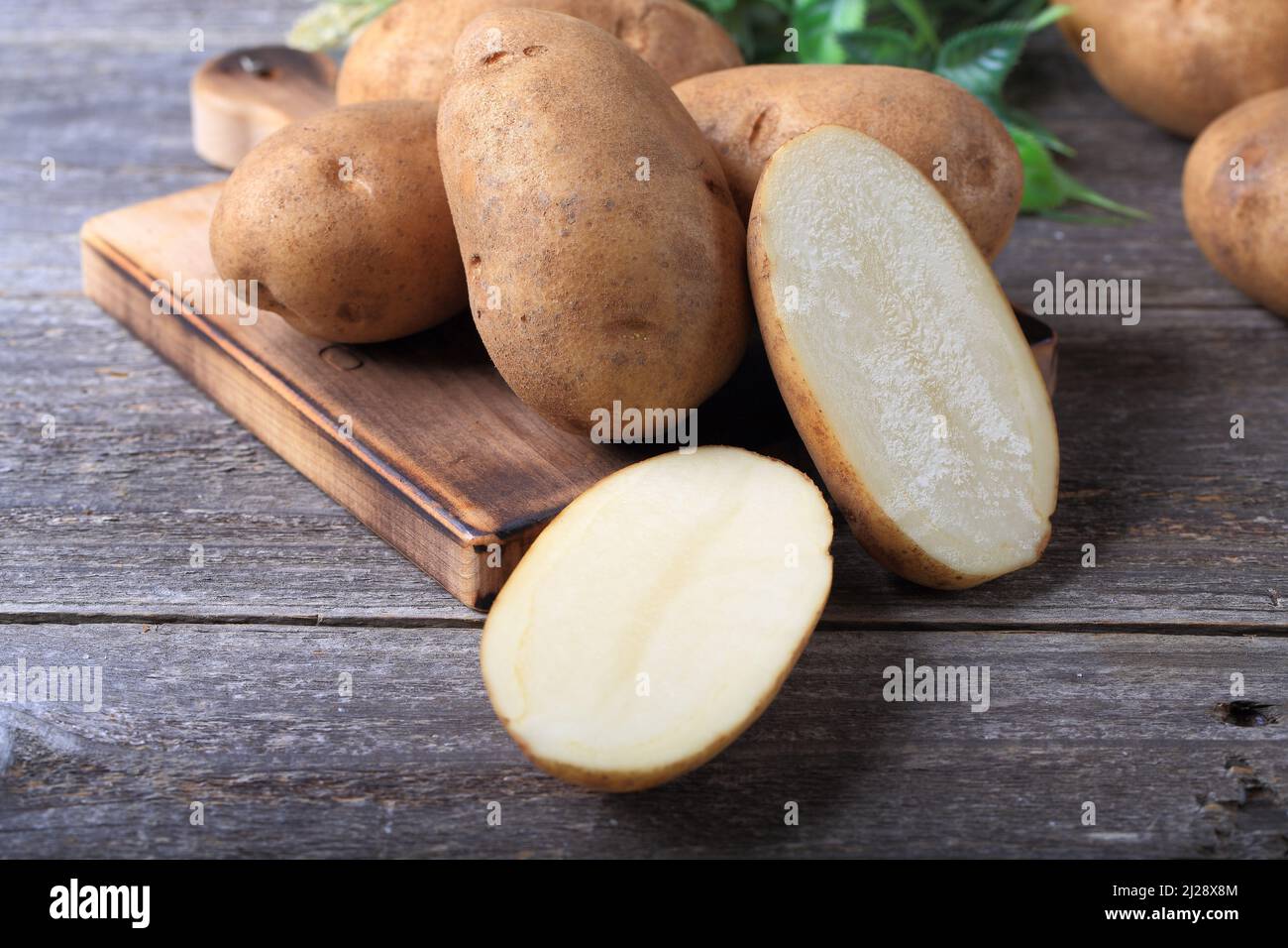 Potato plant cross section hi-res stock photography and images - Alamy