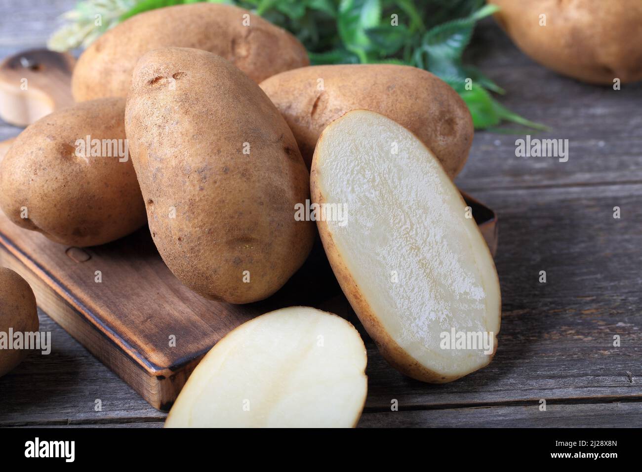 Potato plant cross section hi-res stock photography and images - Alamy