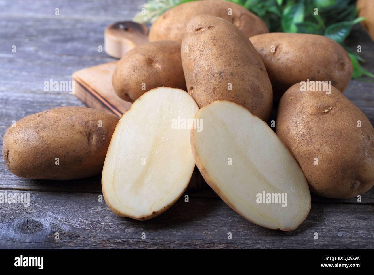 Potato plant cross section hi-res stock photography and images - Alamy