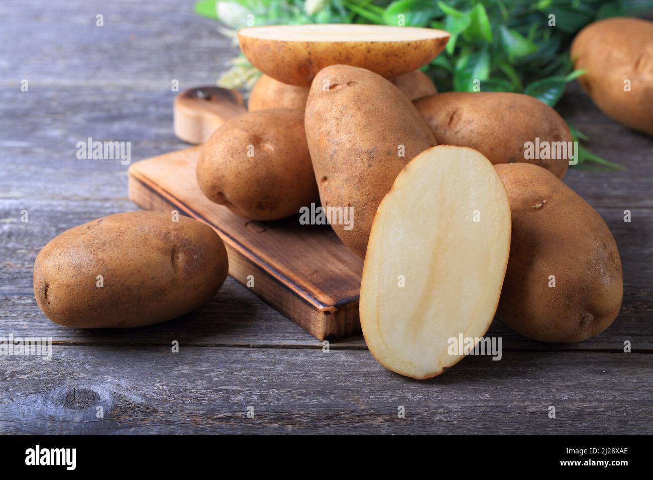 Potato plant cross section hi-res stock photography and images - Alamy