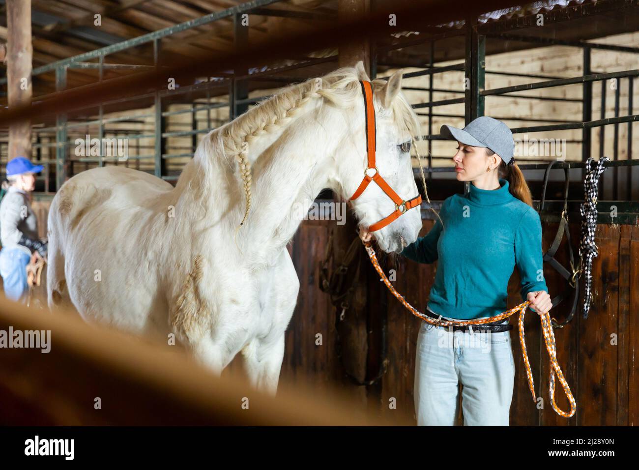 Young horsewoman caressing horse while leading to stall after riding ...