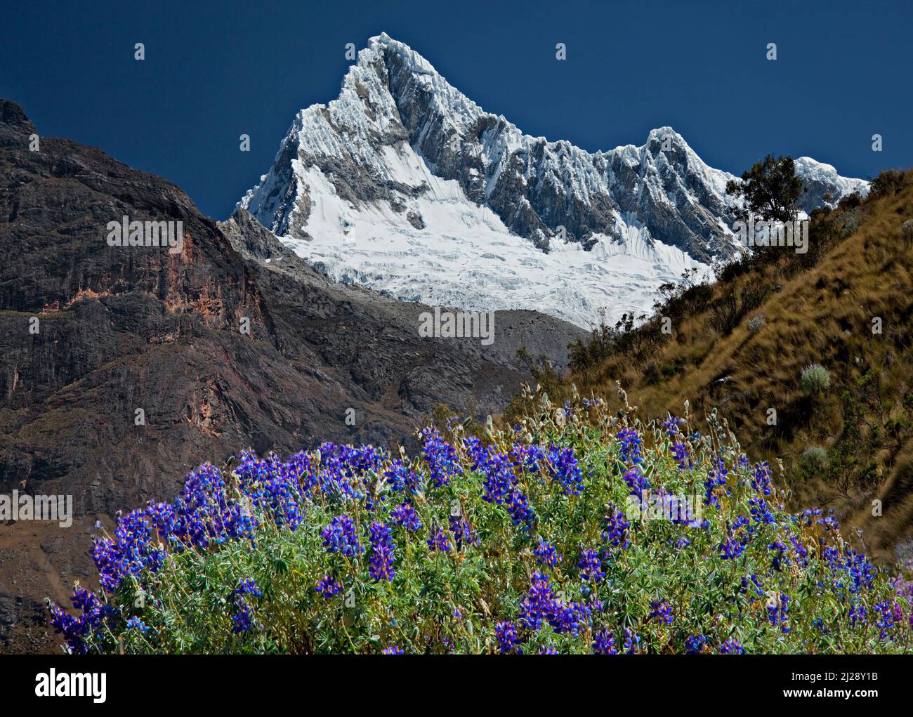 Cordillera blanca mountains hi-res stock photography and images - Alamy