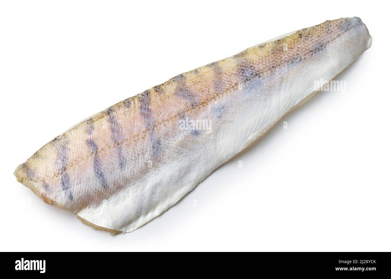 Zander fillet Cut Out Stock Images & Pictures - Alamy
