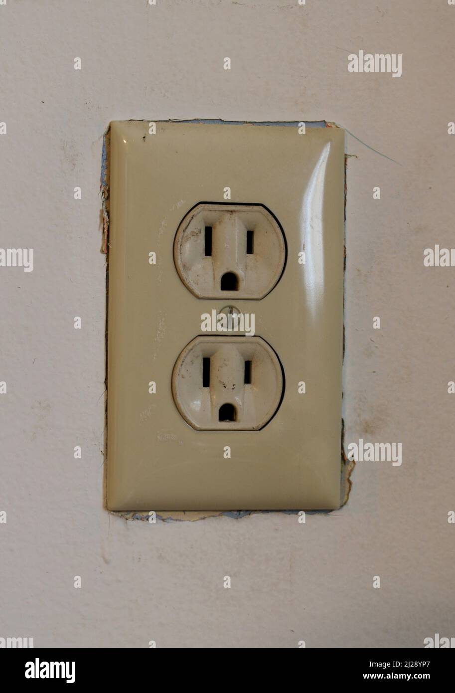 Ivory standard hi-res stock photography and images - Alamy