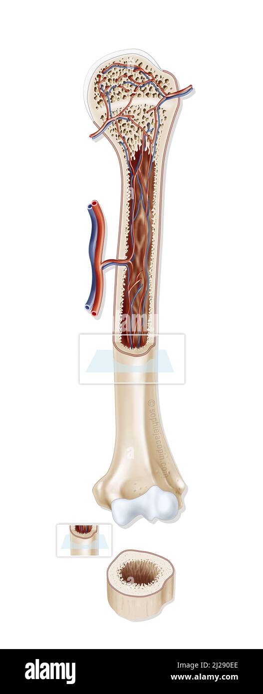 Structure in art Cut Out Stock Images & Pictures - Alamy