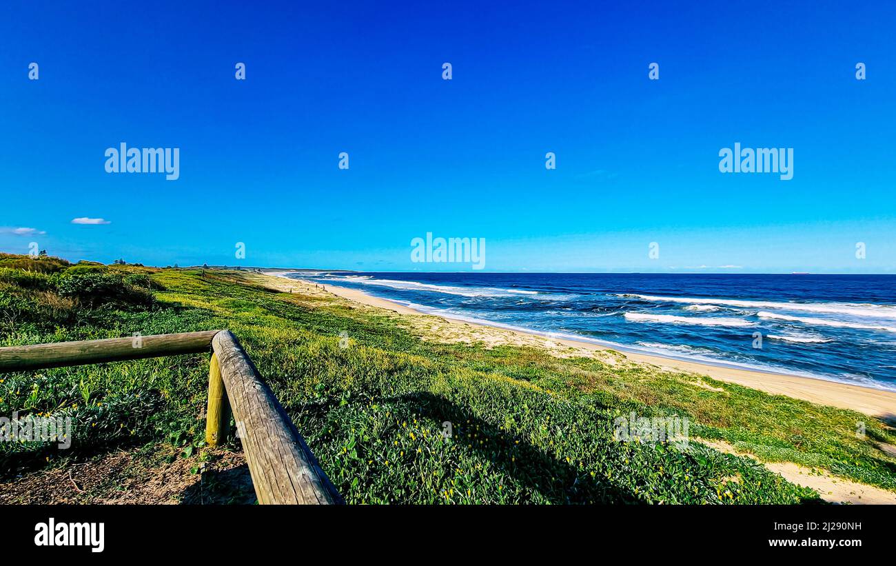 A panoramic view of an untouched shore of the ocean with greenery Stock ...