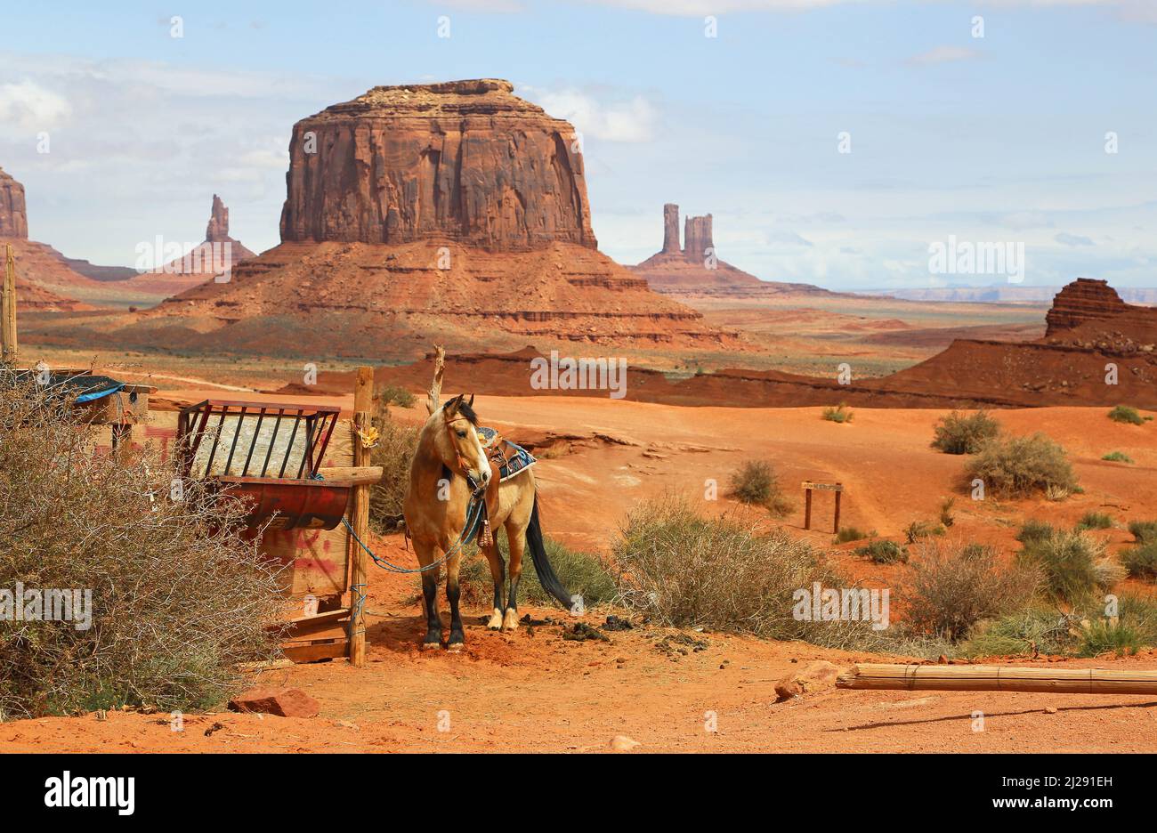 Horse in western scenery Stock Photo - Alamy