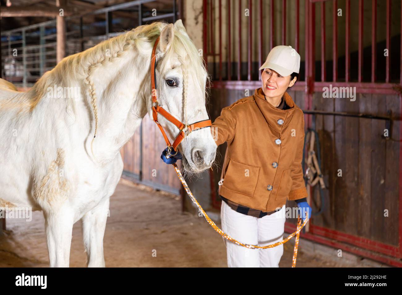 Female stable worker leads a white horse out of stall Stock Photo - Alamy