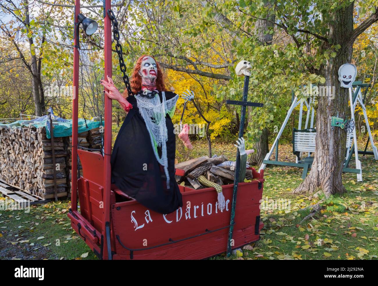 Female zombie draped in black dress with white shawl and chained by the ...