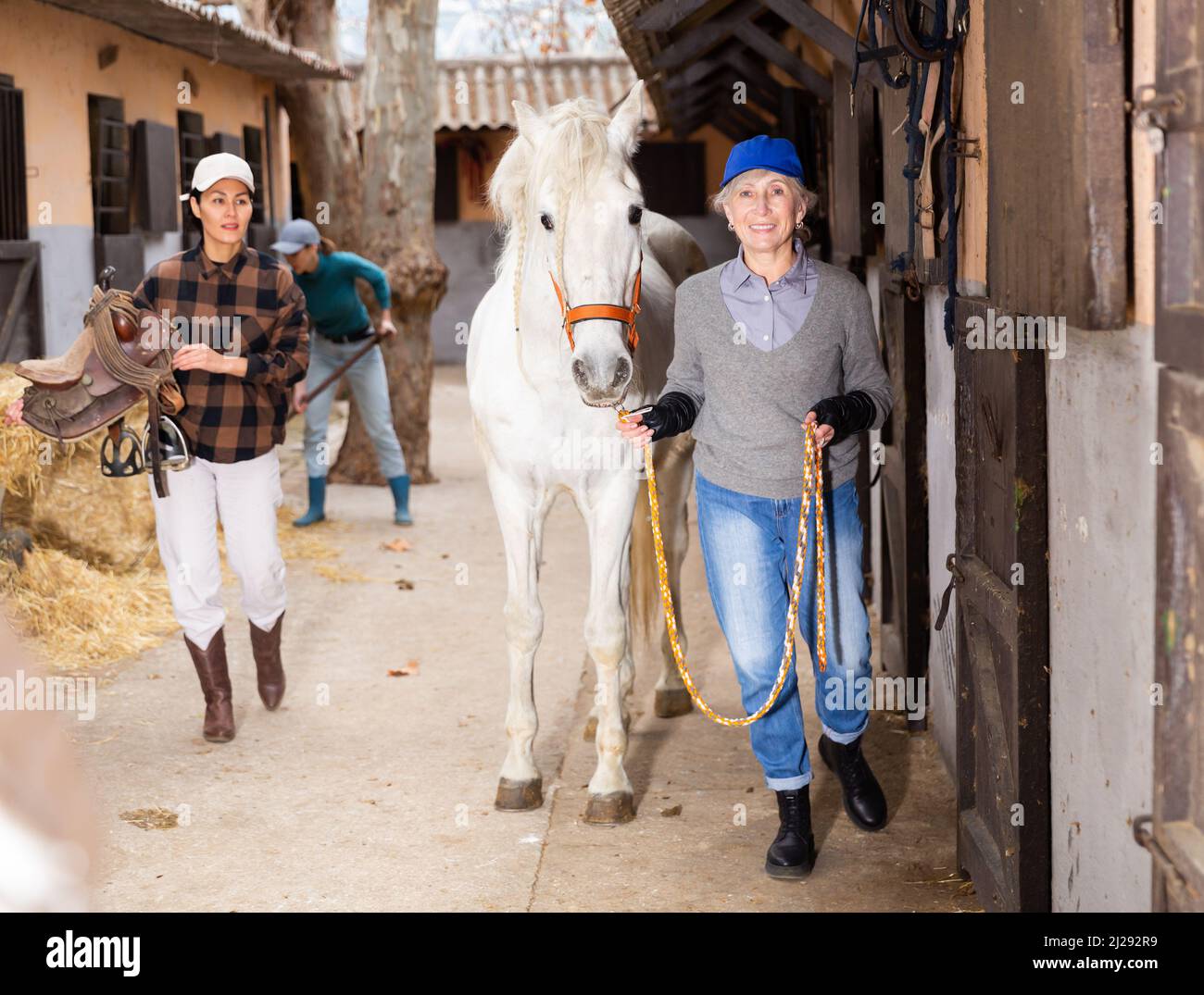Older female stable keeper leading horse outdoors while Asian woman ...