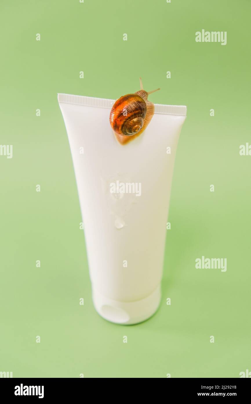 Snail cosmetics.Snail extract.Snails on a white tube on a green ...