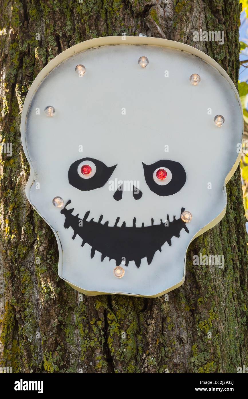 Scary tree face monster hi-res stock photography and images - Alamy