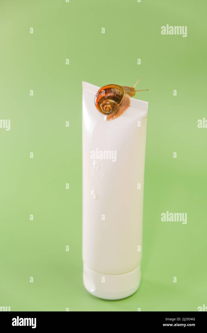 Snail cosmetics.Snail extract.Snails on a white tube .Organic cosmetics ...
