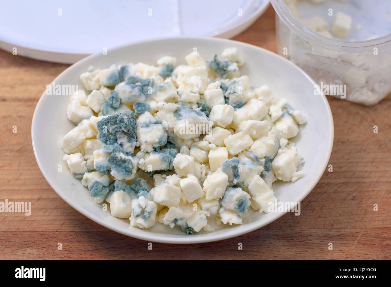 Moldy white cheese in a white plate. cheese, an expired dairy product ...