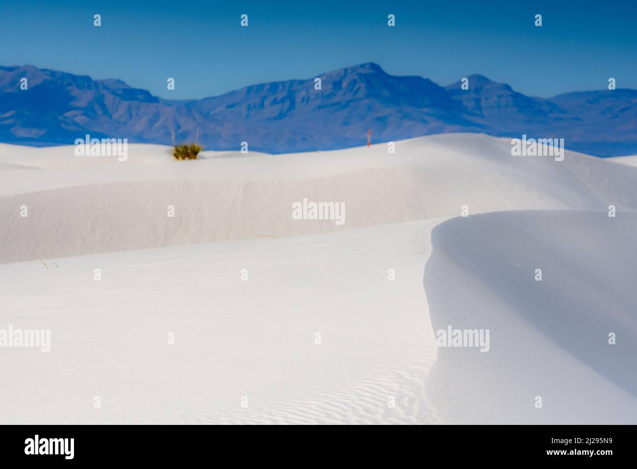 Sand Dunes Rise And Fall Along Trail Through White Sands National Park ...