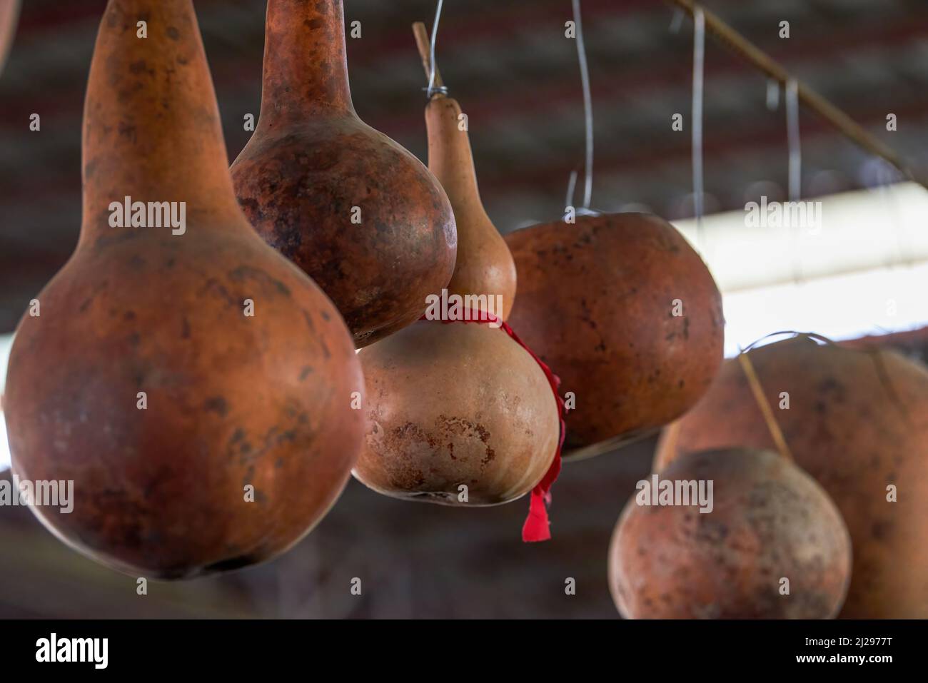 Closeup of a bunch of old Chinese auspicious gourds Stock Photo - Alamy