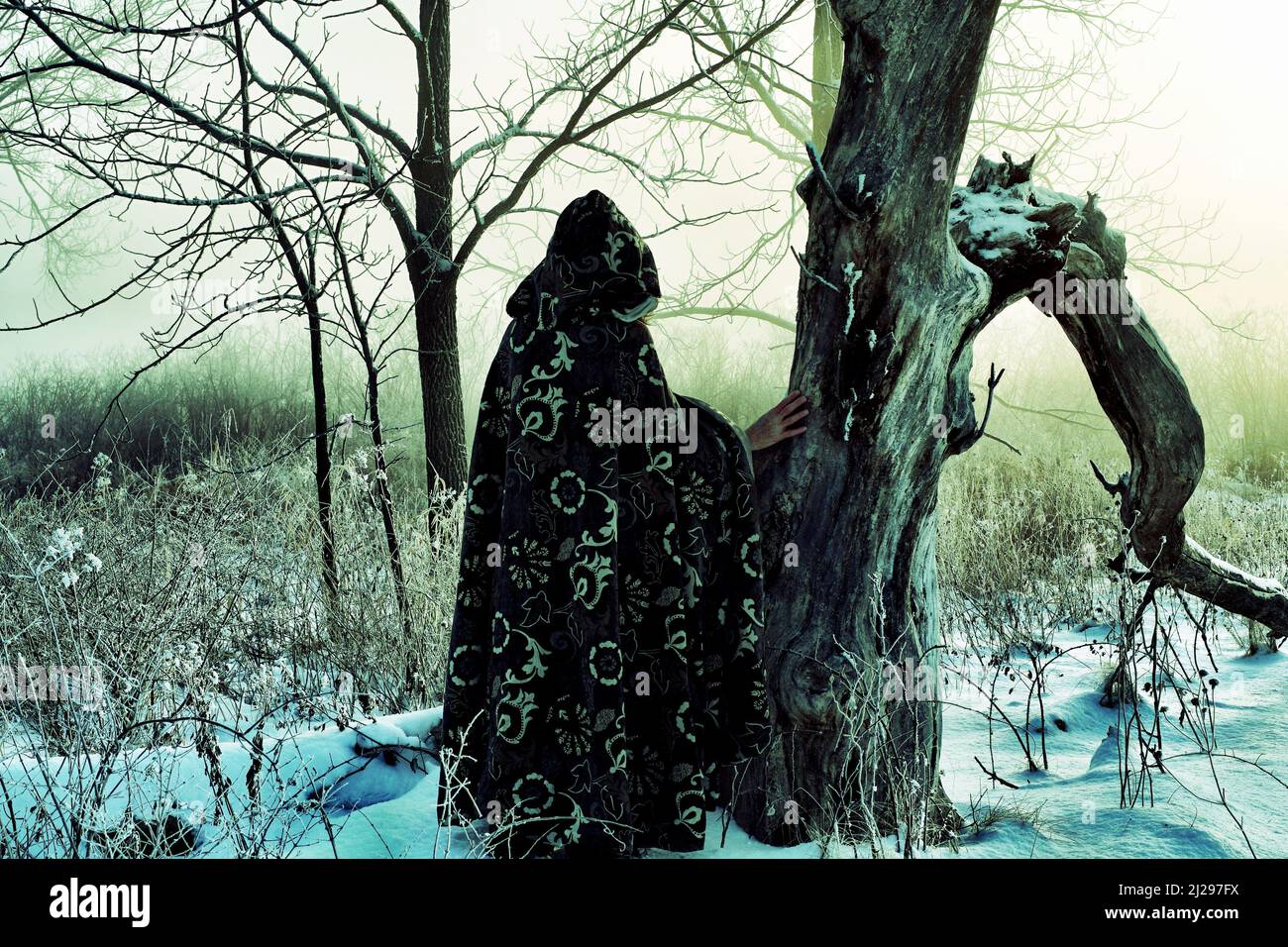 Cloaked person hi-res stock photography and images - Alamy