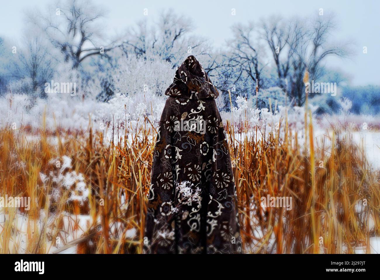 Wizard in medieval cloak looks upon a field of winter hoar frost ...