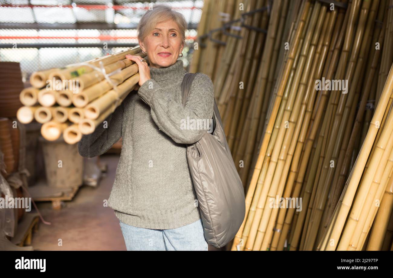 Smiling elderly woman carrying bunch of bamboo poles Stock Photo - Alamy