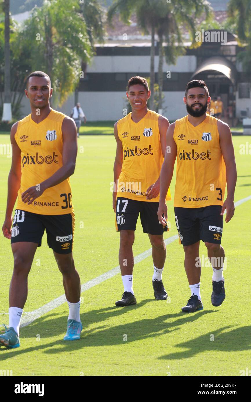 SP - Santos - 03/30/2022 - SANTOS FC, TRAINING - Santos players during ...