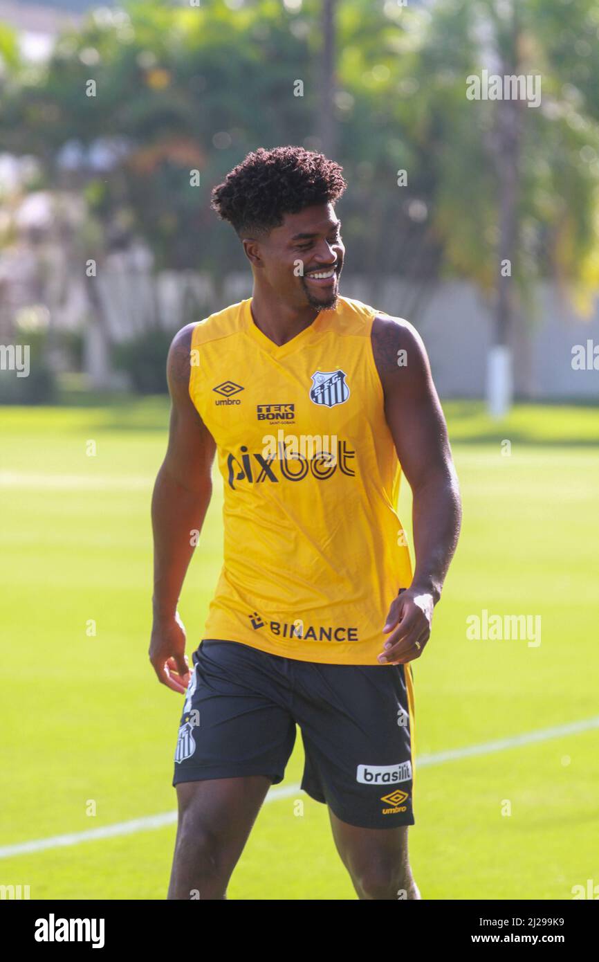 SP - Santos - 03/30/2022 - SANTOS FC, TRAINING - Bauermann Santos ...
