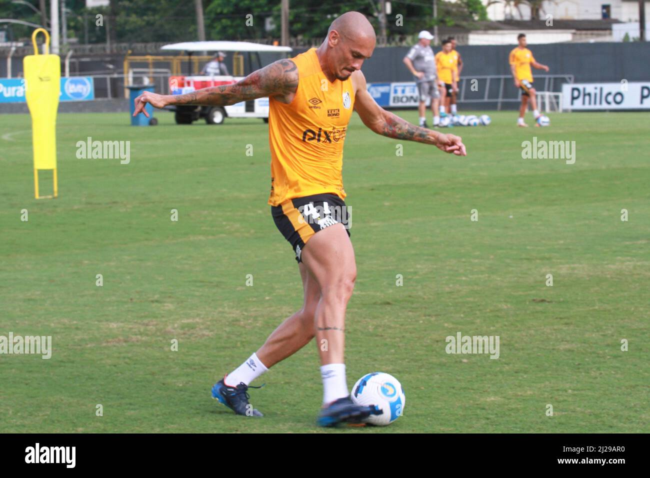 Santos, Brazil. 30th Mar, 2022. SP - Santos - 03/30/2022 - SANTOS FC ...