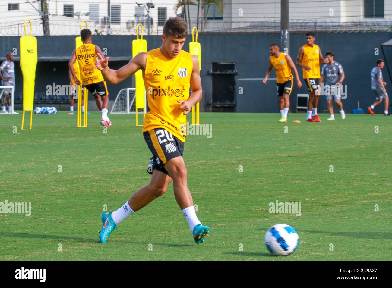 SP - Santos - 03/30/2022 - SANTOS FC, TRAINING - Gabriel Pirani Santos ...