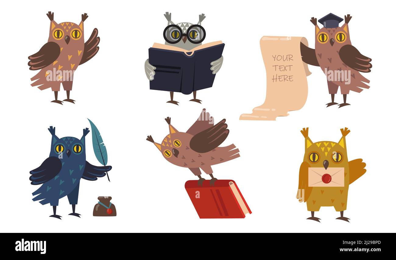 Academic owls set. Cute cartoon birds in graduation caps with books ...
