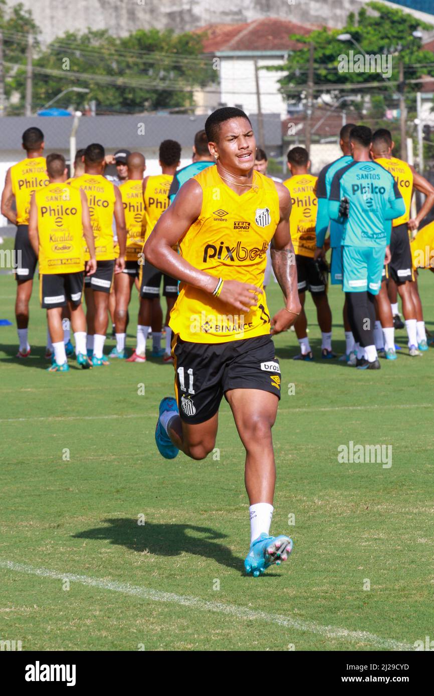 SP - Santos - 03/30/2022 - SANTOS FC, TRAINING - Angelo Santos player during training at the CT ...