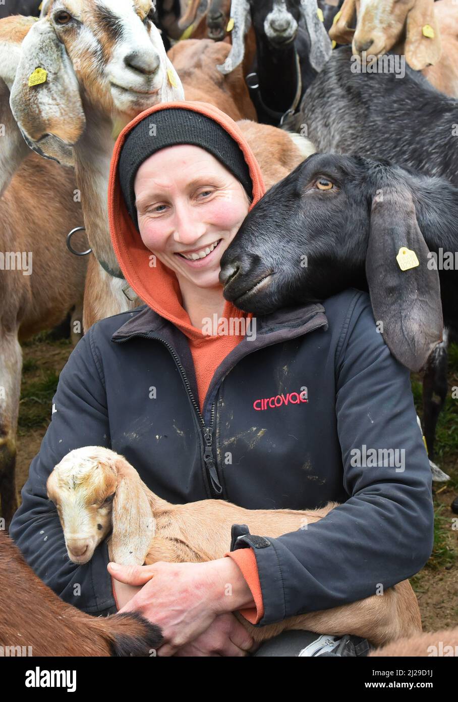 29 March 2022, Saxony, Lichteneichen/ Mügeln: On the organic goat farm ...