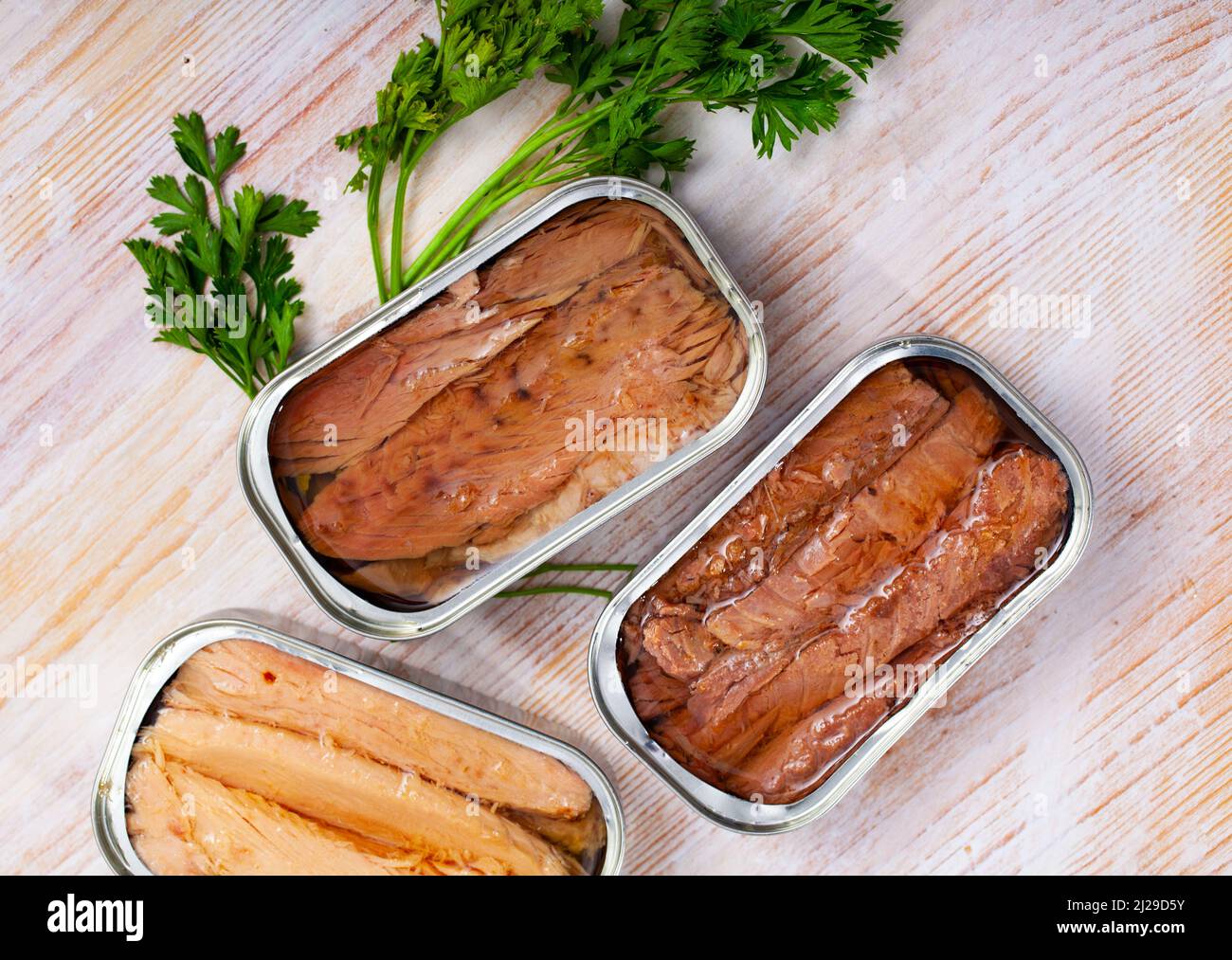 Canned seafood, melva fish fillets preserved in oi Stock Photo - Alamy