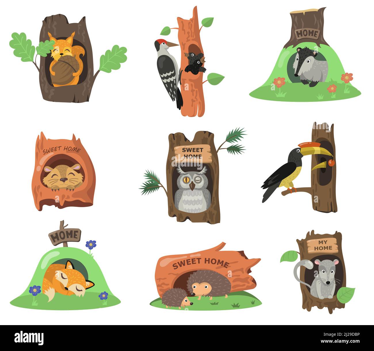 Woodland Forest Habitat Cartoon